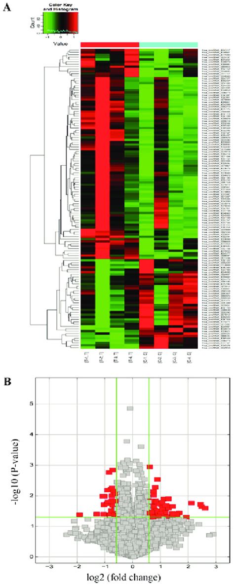 Differentially Expressed Circrnas In Bca Tissues T And Adjacent