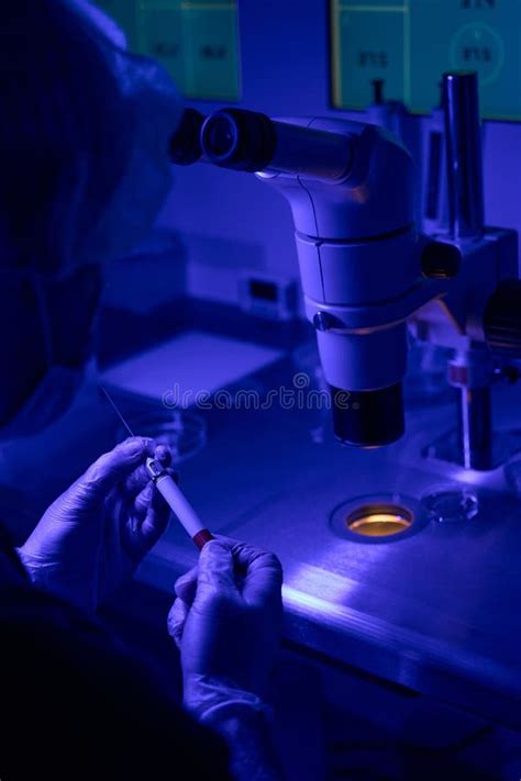 Laboratory Engineer Adjusting Capillary Holder Before Sperm Injection Stock Photo Image Of