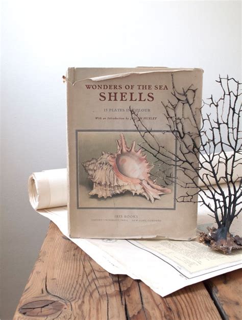 Vintage Book Of Shells First Edition