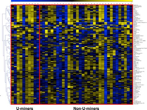 Serum Igg Autoantibodies High Through Put Screening Of Autoantibodies Download Scientific