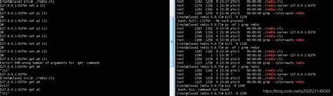 缓存学习总结 数据持久化 源码巴士
