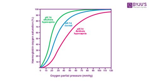 Bohr Effect Experimental Discovery Allosteric Interactions Bohr Effect Vs Haldane Effect
