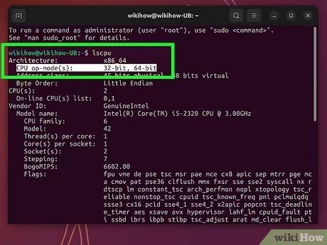 Running Windows Programs On Linux Ubuntu Deals Emergencydentistry