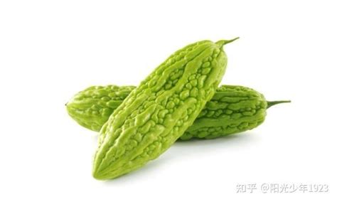 苦瓜最苦的部分是哪里 知乎