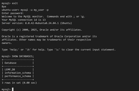 Step By Step Guide To Deploying The Lemp Stack For High Performance Web