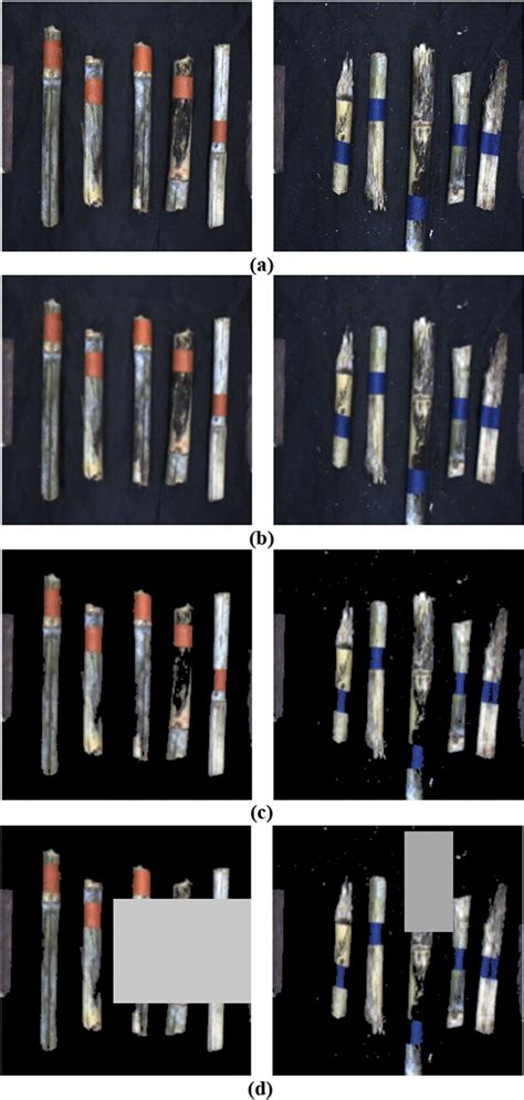 experimental outcomes with a input image b pre processed image c