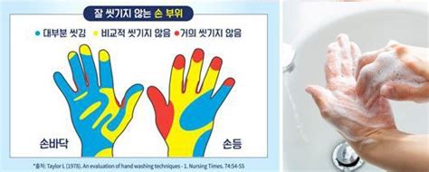 방역의 기본 손 씻기 가장 안 닦이는 부위는 당신의 건강가이드 헬스조선