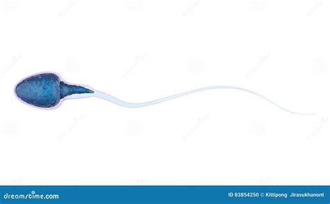 Blue Sperm Cell Vector Illustration 3d Spermatozoid Isolated On
