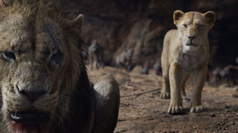 The Lion King Scar And Sarabi