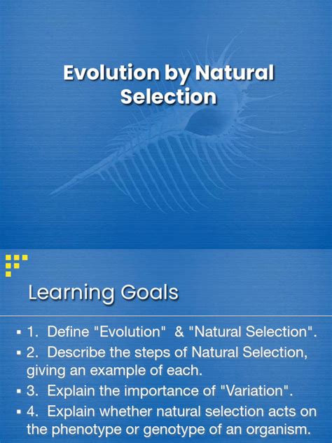Evolution And Natural Selection Notes Pdf Natural Selection Evolution