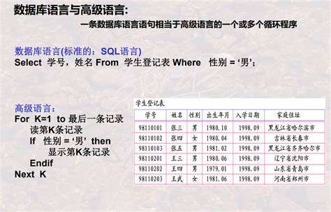 （一）初步认识数据库系统 Csdn博客