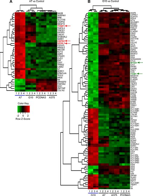 Differential Gene Expression And Clustering Analysis Of Upregulated And