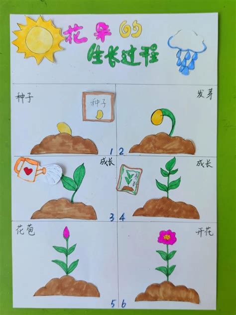 种子的一生简笔画（高清18张） 简笔画图片大全