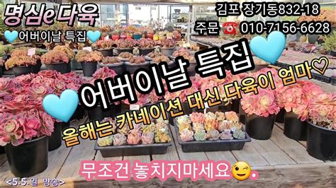 어버이날은 선물은 명심e다육이지♡ Youtube