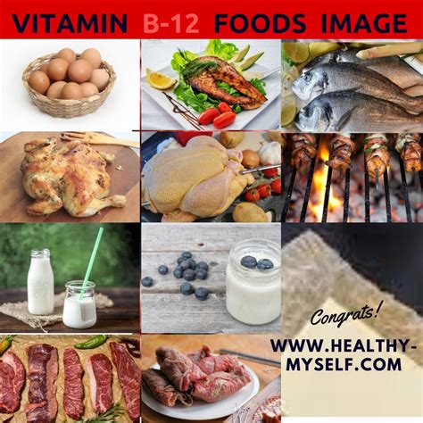 Vitamin B12 Rich Foods For Vegetarian At Terry Comer Blog