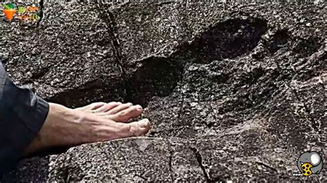 بلند قد ترین ادم های دنیا فیلو