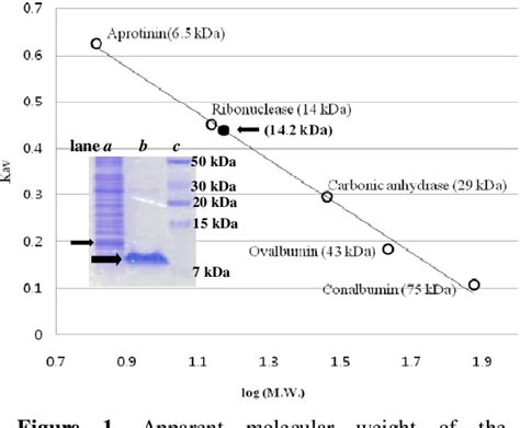 Figure 1 From Intrinsically Disordered Fold Of A Pias1 Binding Domain Of Cp2b Semantic Scholar