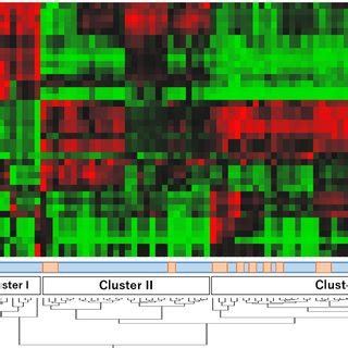 Results Of Unsupervised Hierarchical Cluster Analysis Of The Model