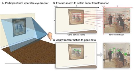 Overview Of Mapping Dynamic Gaze Data To Fixed Reference Image A Download Scientific Diagram