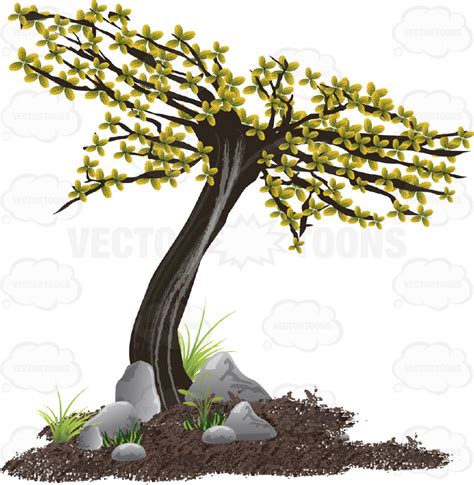 Rocks Trees Clipart Free Cliparts Download Images On Clipground