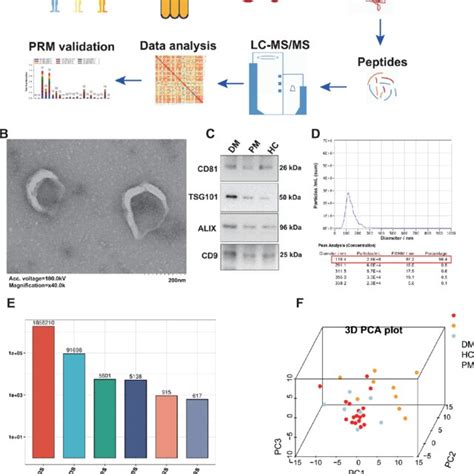 Schematic Diagram Of Proteomics Analysis And Characterization Analysis Download Scientific