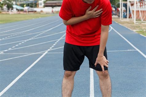 Bolesti Srca Sveobuhvatan Prikaz Najčešćih Bolesti Simptoma I Lečenja