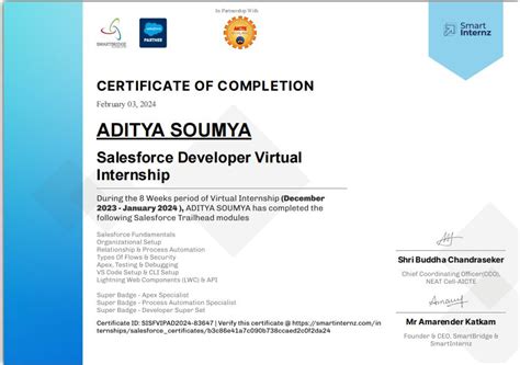 Salesforce Aicte Aicteinternship Smartbridge Smartinternz Developer Virtualinternship