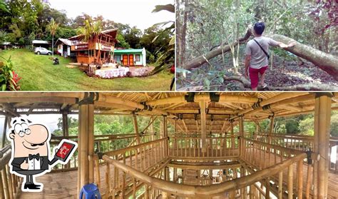 Baslay Highland Brew Coffee Dauin Restaurant Reviews