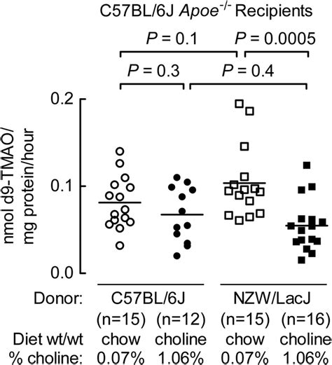 Hepatic Flavin Monooxygenase Activity Among Recipient Mice Total Fmo Download Scientific