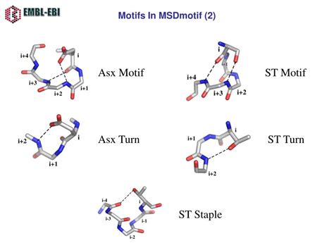Ppt Extracting And Exploiting Structural Patterns In Proteins Especially Relating To Function