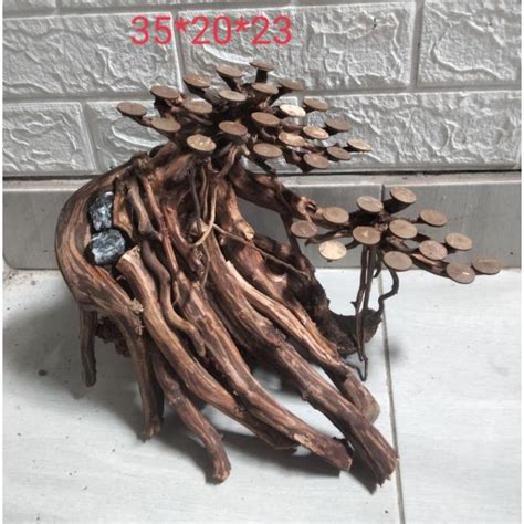 Jual Bonsai Aquascape Hardscape Aquascape Shopee Indonesia