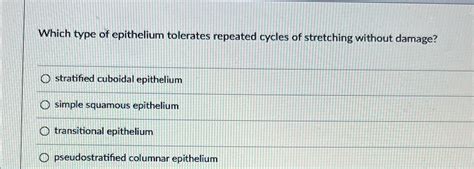 Solved Which Type Of Epithelium Tolerates Repeated Cycles Of