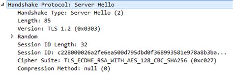 What Is SSL TLS Handshake SSL TSL Handshake Explained