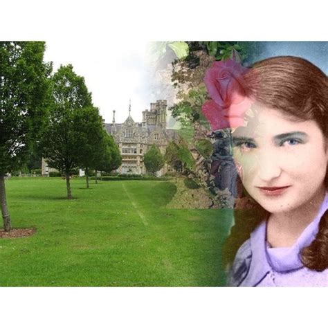 Top 20 Gimp Plugins And Ad Ons In 2024 Gimp Gimp Tutorial Free Photo Editing Software