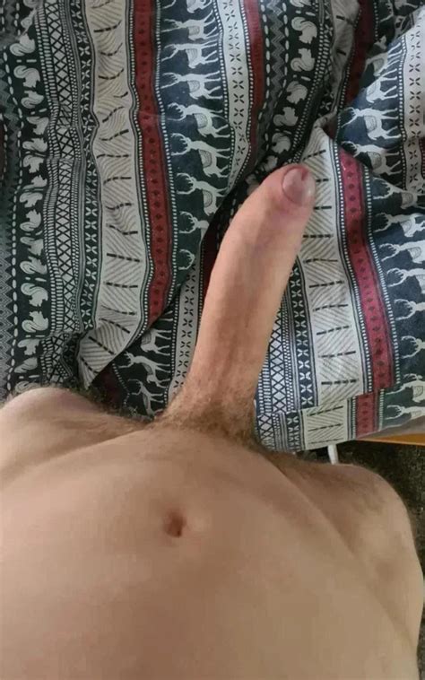 Great Looking Cock Houtex2019