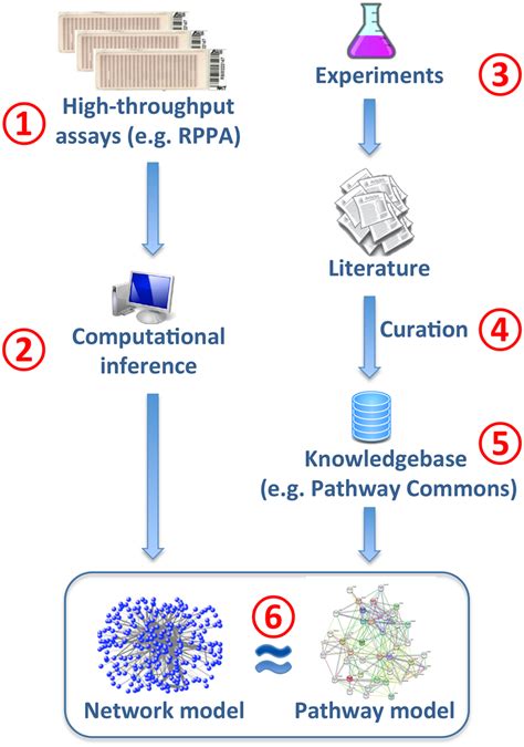 Workflow For The Performance Evaluation Of Network Inference Methods On Download Scientific