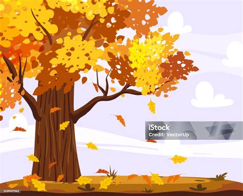 오크 나무 노란색 주황색 낙엽이 있는 시골 가을 풍경 계절 장면 시골 10월에 대한 스톡 벡터 아트 및 기타 이미지 10월 11월 9월 Istock