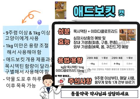 고양이 심장사상충약 종류 사용방법 부작용 가격 레볼루션 애드보킷 브로드라인 폴리캅 캐치원 임팩트 등 네이버 블로그