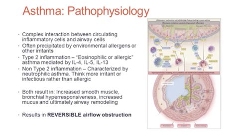 Lecture 4 1 Asthma Flashcards Quizlet