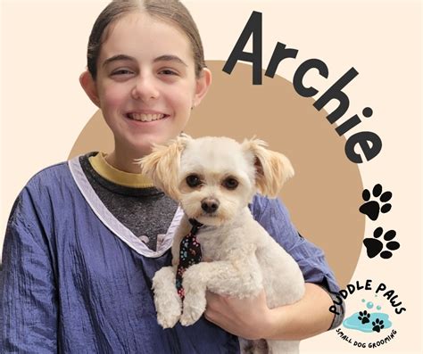 Puddle Paws Small Dog Grooming Puddlepawsdoggrooming • Instagram Photos And Videos