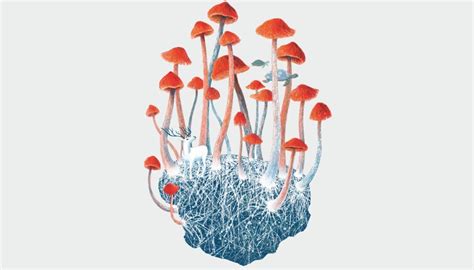 Natural Intelligence Orion Magazine