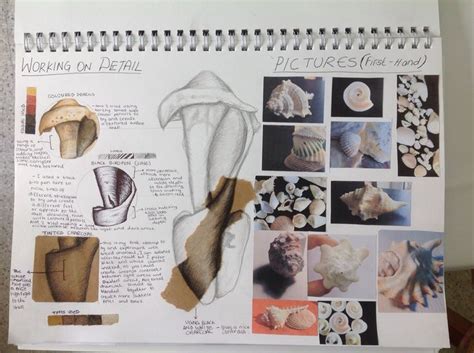 Igcse Coursework College Art Project Theme Sketch Book