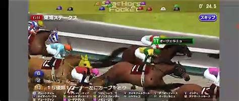 2021 GⅡ東海ステークス レースシュミレーション 動画 Dailymotion