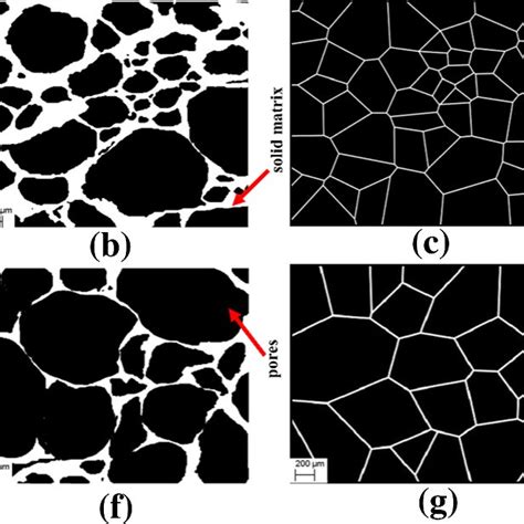 A Raw Sem Image For Sample 1 B Denoised Segmented And Binary Image