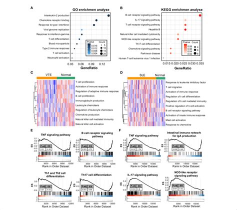 Function Enrichment And Pathway Enrichment Analysis A B Go And Kegg