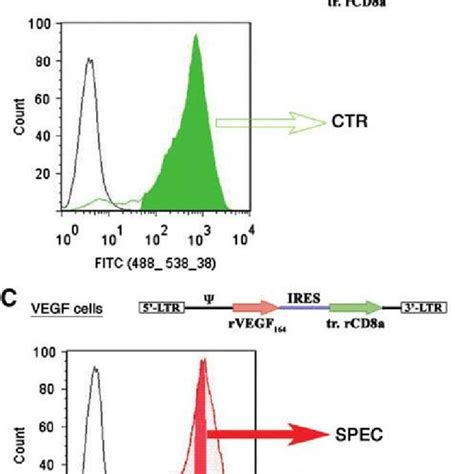generation and fluorescence activated cell sorting facs purification download scientific