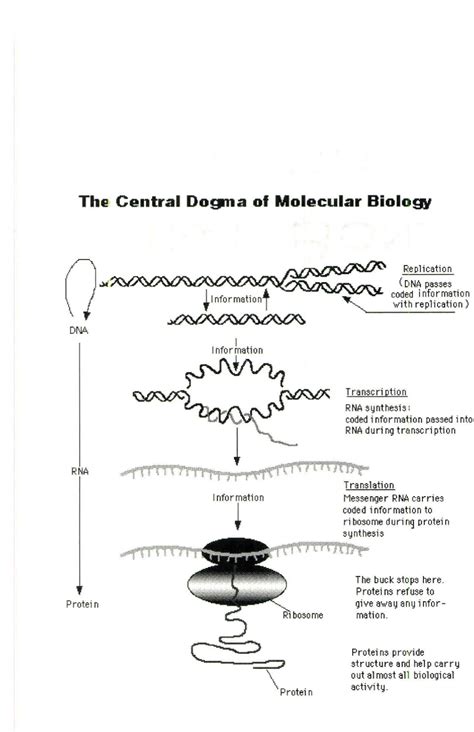Figure 11 From Empirical Bayes Analysis For Detecting Differential