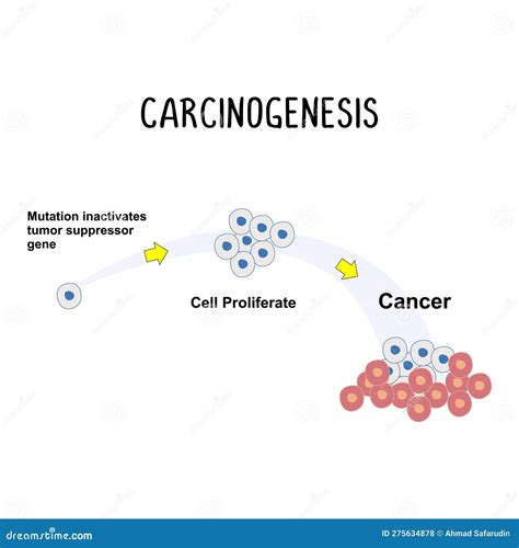 Cancer Development Vector Illustration 123482796