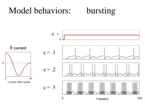 Ppt Neural Coding Integrate And Fire Models Of Single And Multi