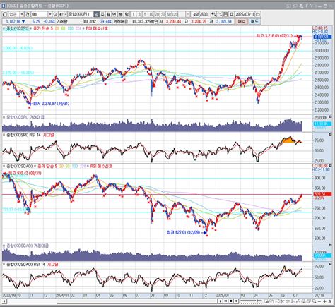 250718금 오늘의 주도주 중국 리튬 선물가격 3개월만에 최고치 및 미국의 중국산 흑연 반덤핑 관세 부과에 이차전지 강세